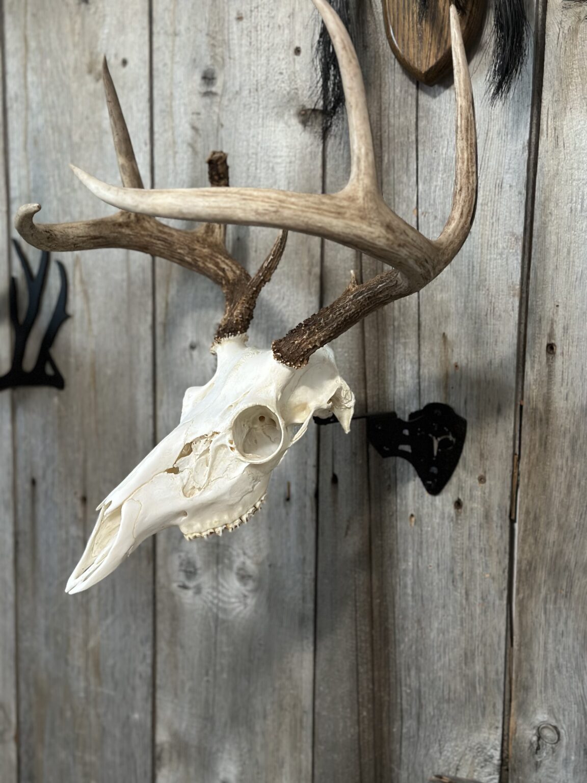 Nos produits - Page 2 sur 4 - Sam Hunting